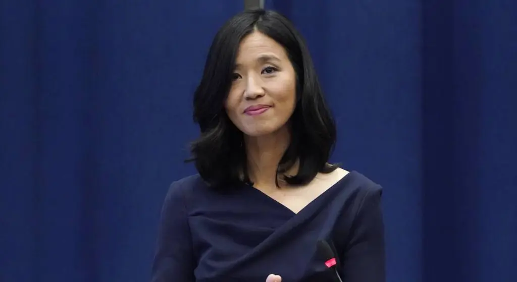 Wu reveals members of the new Boston Reparations Task Force - Embrace ...